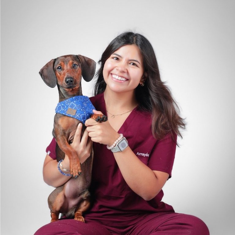 Home - Cientifica Divulga