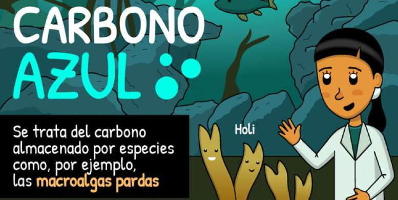 Carbono azul, aliado frente al cambio climático - Cientifica Divulga